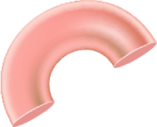 Professional French Clipping Path & Bulk Photo Editing Services